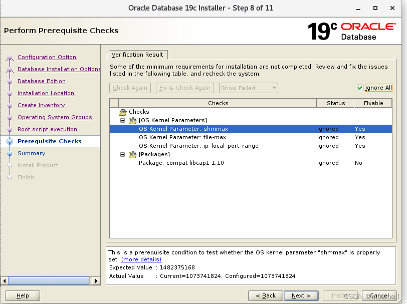 oracle 19c容器数据库安装与配置_oracle19c容器数据库-CSDN博客