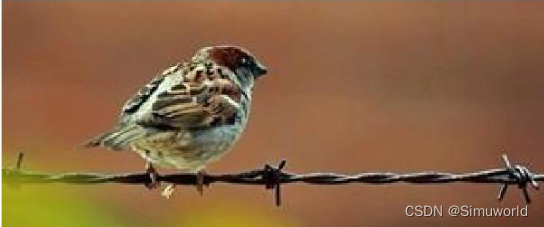 【SSA】麻雀搜索算法(Sparrow Search Algorithm, SSA)理论分析与matlab性能仿真,使用CEC2017测试_sparrow search agoruthm-CSDN博客