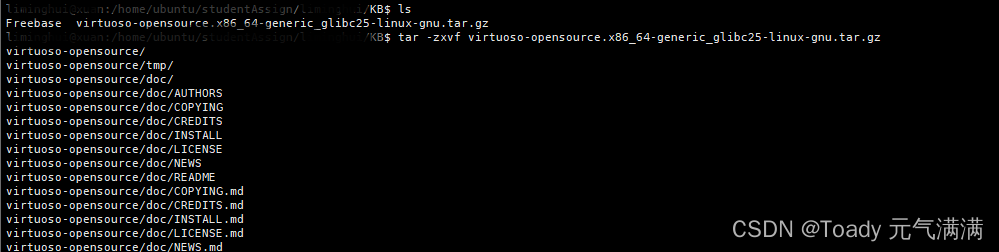 virtuoso-opensource 安装与配置方法_virtuoso环境变量-CSDN博客