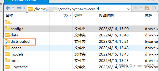 【PyCharm远程连接服务器，调试torch.distributed.launch分布式程序，无需.sh，命令行操作】_-m torch.distributed.launch 在 ...