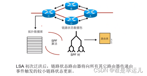 21.OSPF路由协议及配置（1）_router ospf 1-CSDN博客