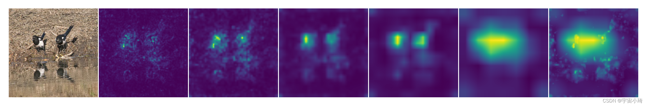 LayerCAM：Exploring Hierarchical Class Activation Maps for Localization-CSDN博客
