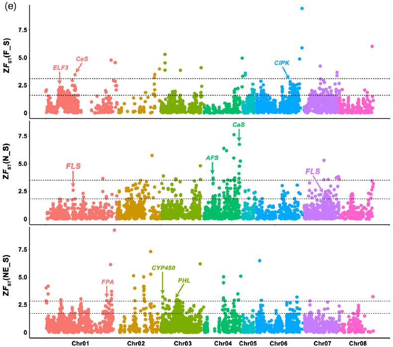 群体遗传学-选择消除分析-CSDN博客