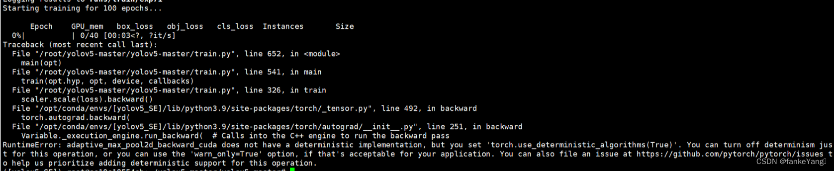 yolov5训练出现报错：Variable._execution_engine.run_backward( # Calls into the C++ engine to run the ...
