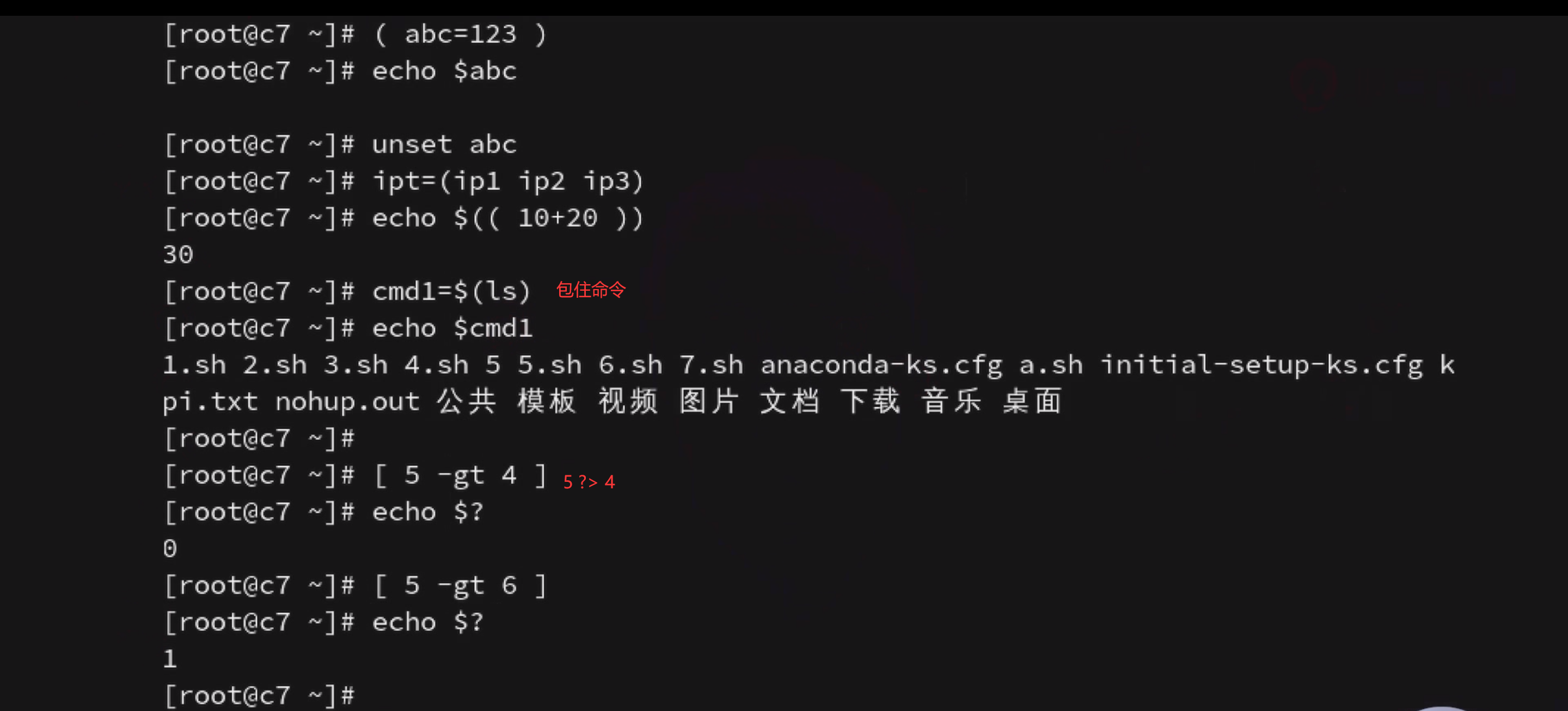【linux】shell 特殊符号总结 数组shell 代特殊字符的字符串数组 Csdn博客