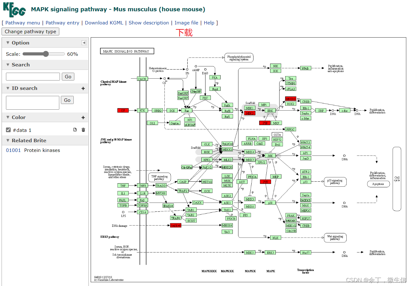 手把手教你给KEGG pathway图标注颜色_kegg通路图红色字体-CSDN博客
