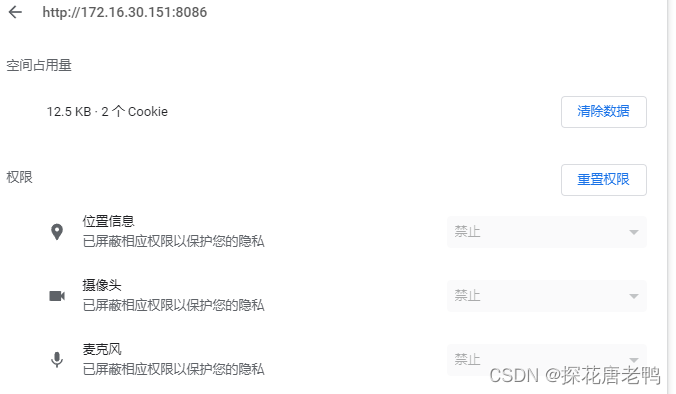 electron访问本机摄像头_electron 怎么连接摄像头-CSDN博客