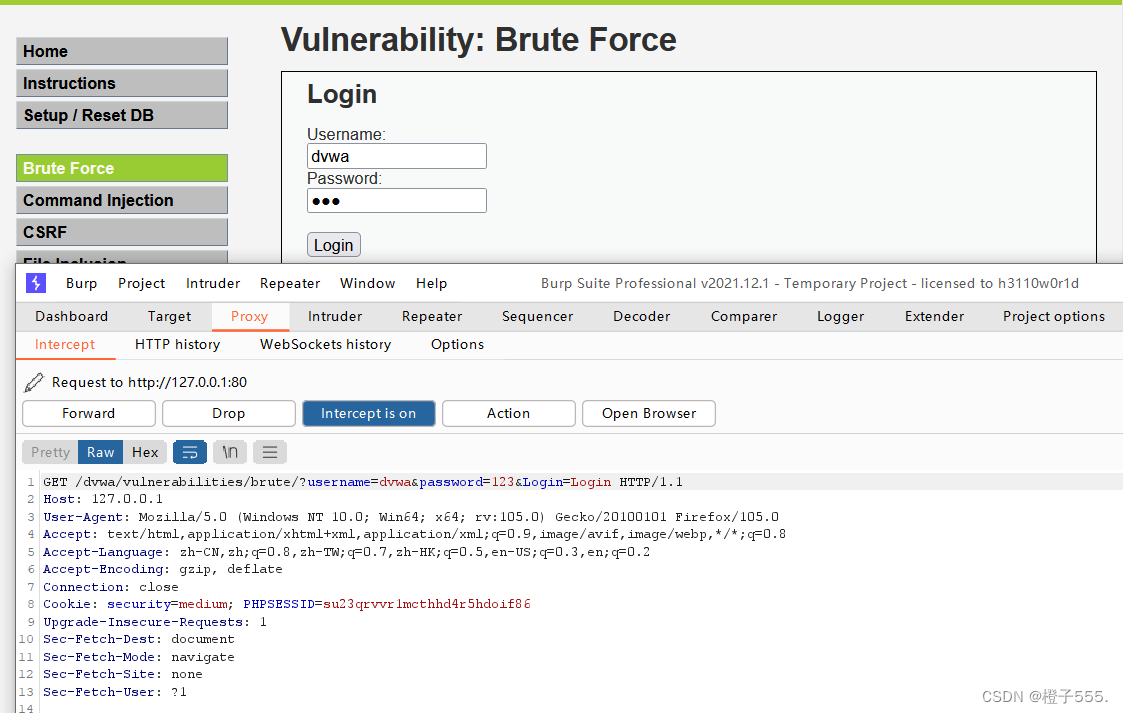 DVWA------Brute Force（暴力破解）_dvwa brute force-CSDN博客