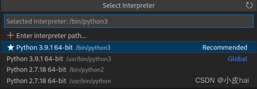 Linux中同时安装多个python版本,进行版本切换liux同时安装python385和python3810指定版本运行 Csdn博客