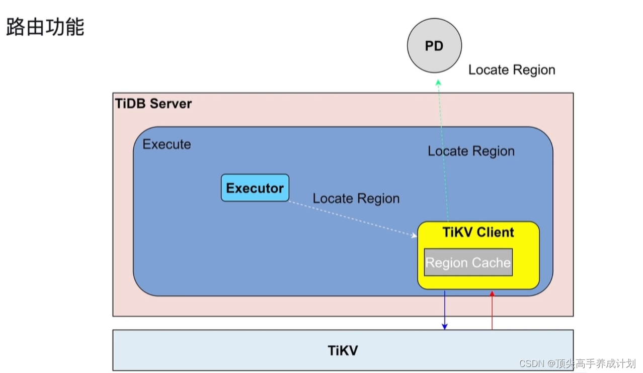 TiDB进阶篇-Placement Driver架构-CSDN博客