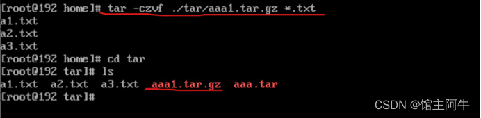 【Linux】Linux 指令练习题 (二)_tar文件下解包aaa.tar-CSDN博客