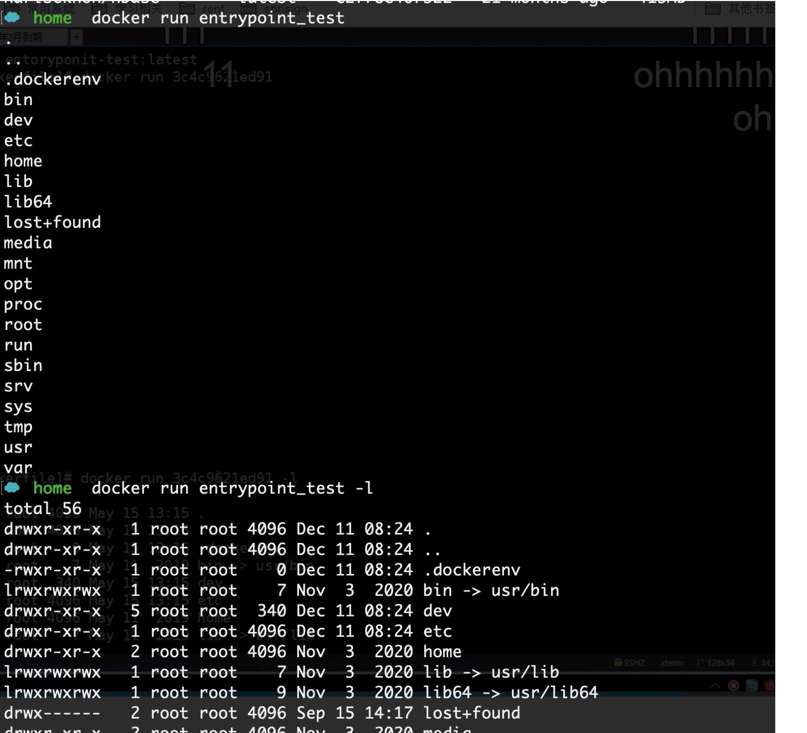 ENTRYPOINT & CMD区别-CSDN博客