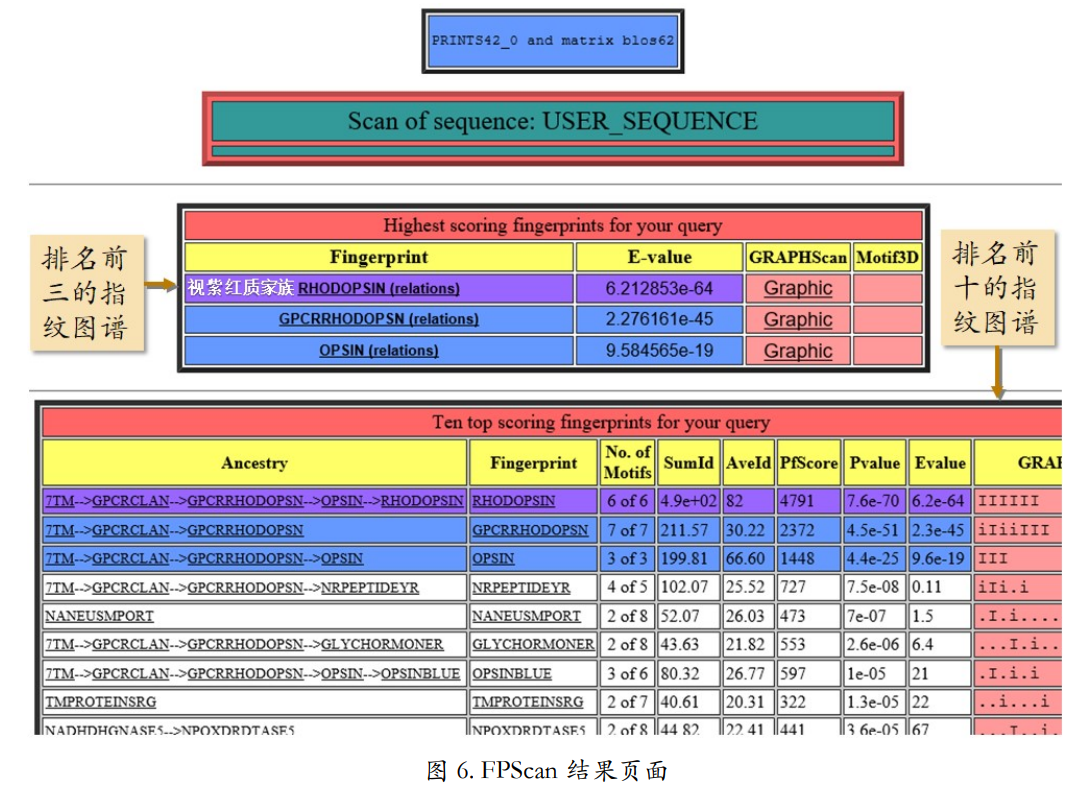 【生信MOOC】生物序列比对工具——多序列比对-CSDN博客