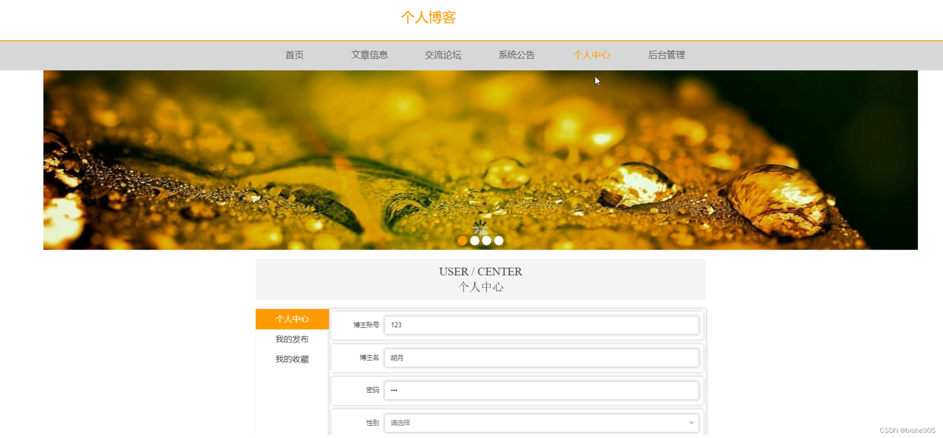 Java计算机毕业设计个人博客（附源码、数据库）java个人博客数据库设计 Csdn博客