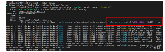 Docker基础26--6.1 Etcd—高可用的键值数据库_docker etcd-CSDN博客
