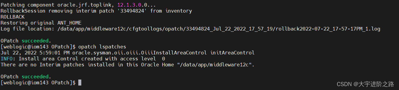 weblogic漏洞打补丁，安装OPatch补丁_weblogic11安装最新补丁集还有漏洞-CSDN博客