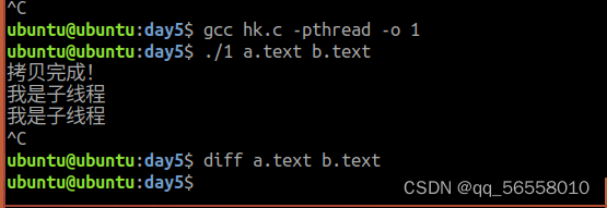 IO作业 day5 6/27-CSDN博客