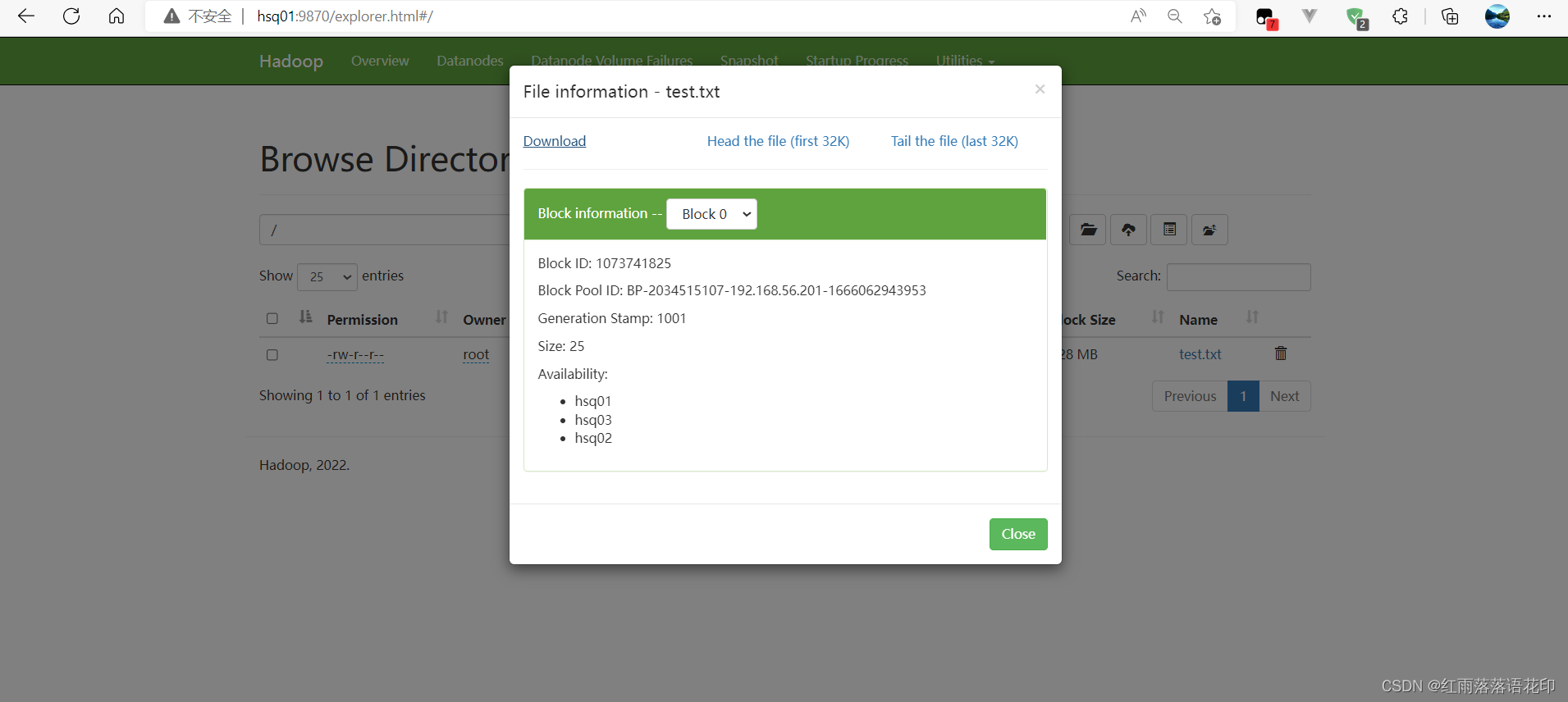 VM VirtualBox 实现 Hadoop 3.3.4集群搭建_vm虚拟机实现集群-CSDN博客