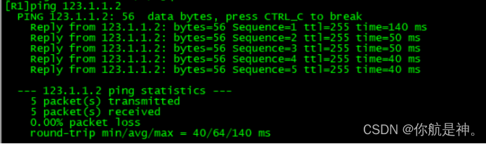 RIP 实验-CSDN博客