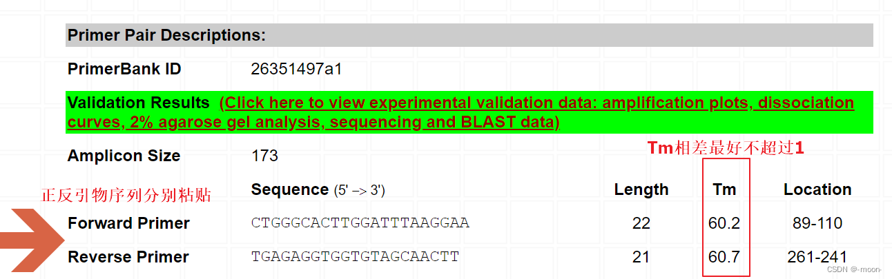 如何设计qPCR引物序列_self complementarity-CSDN博客