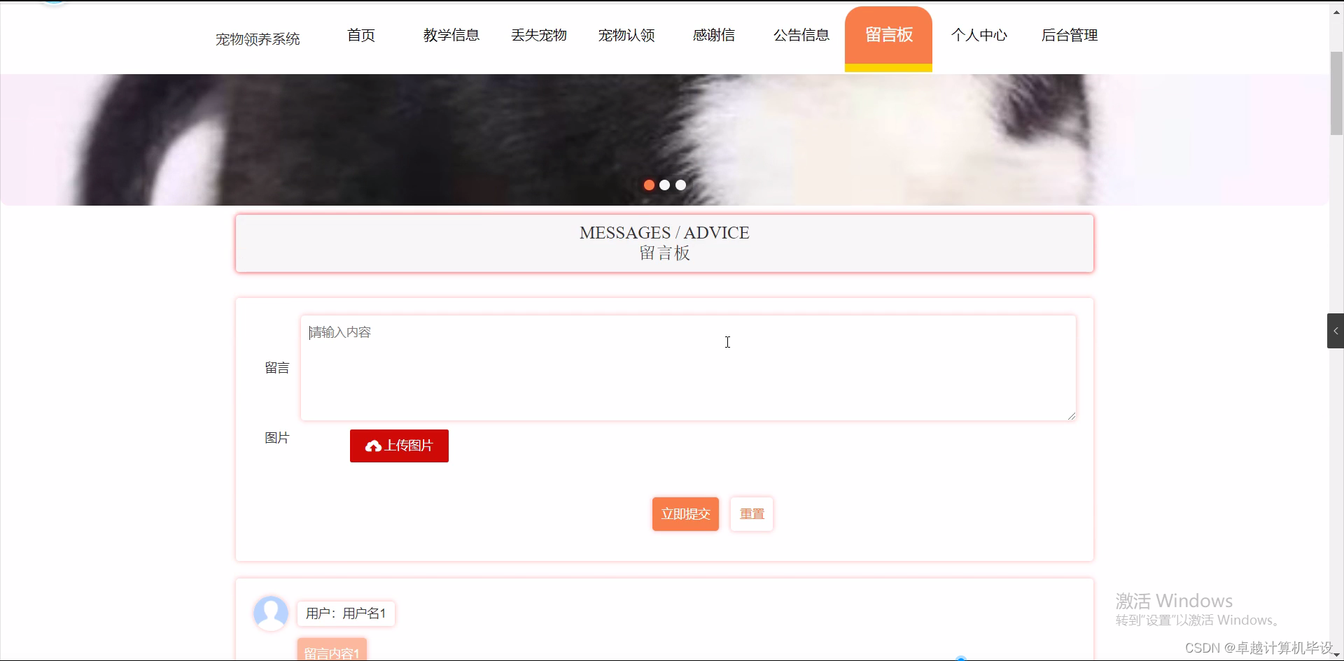 【开题报告】springboot宠物领养系统51gz3计算机毕业设计 Csdn博客 