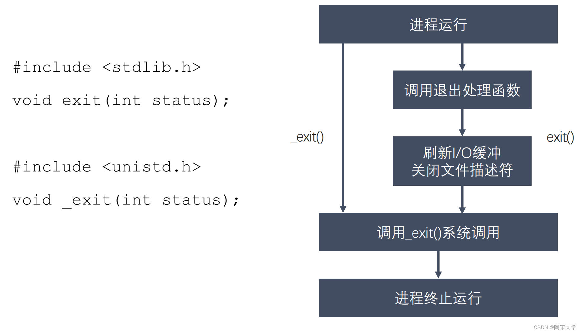Linux系统调用exit函数与标准c库函数exit的区别linux的exit头文件 Csdn博客 