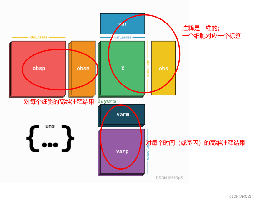 如何理解 AnnData ？-CSDN博客
