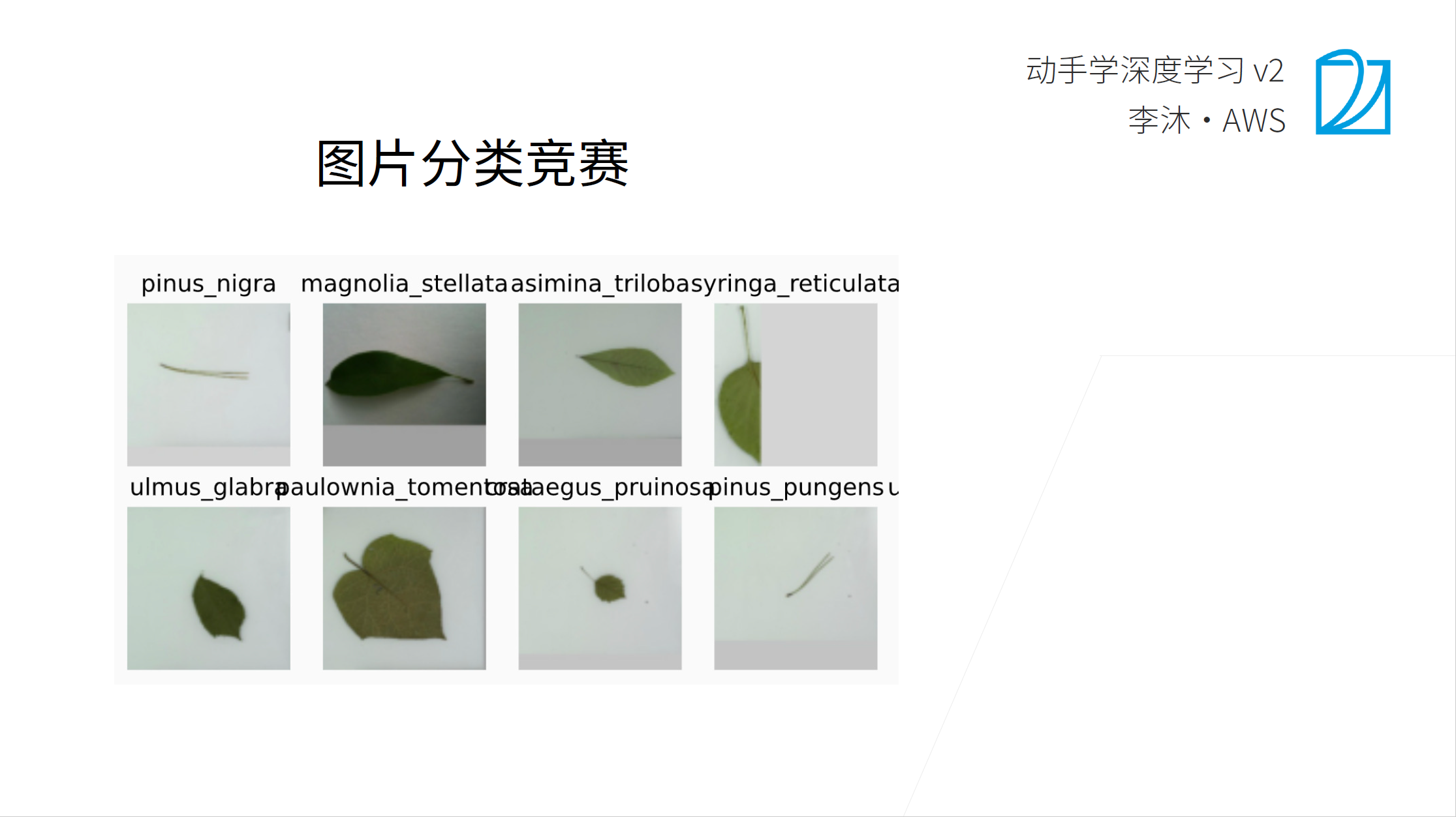 动手学深度学习v20pytorch——30 第二部分完结竞赛:图片分类 及 38 树叶分类结果 及 43 树叶分类竞赛技术总结利用vgg树叶分类 Csdn博客