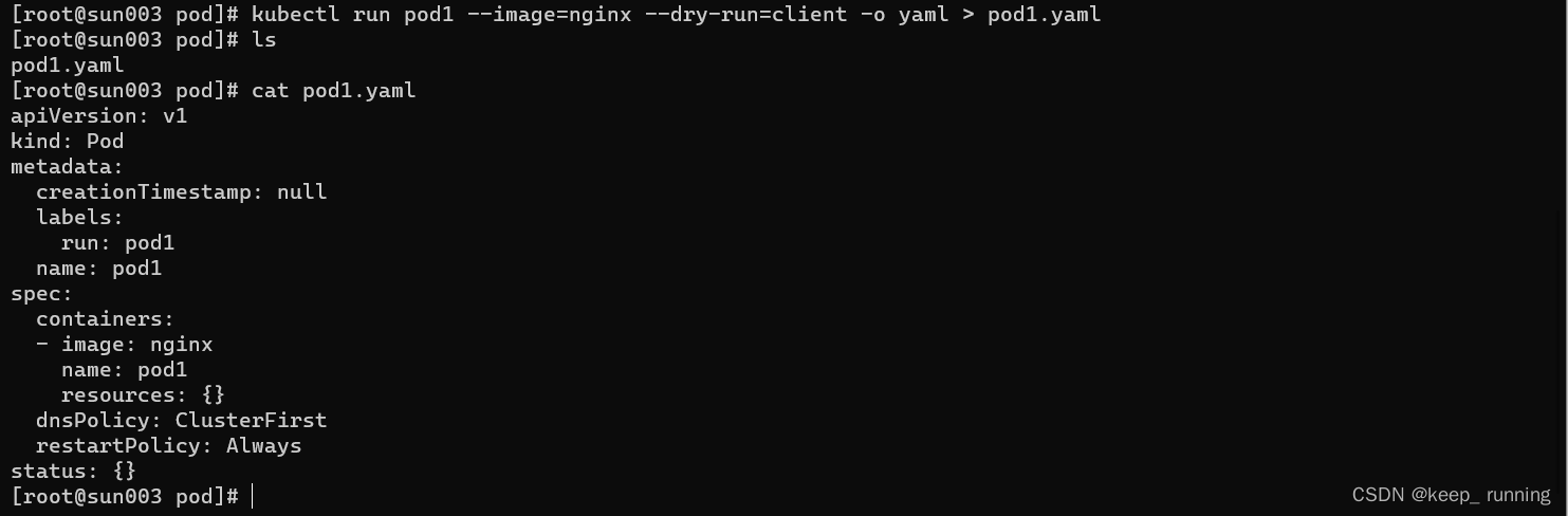 Kubernetes使用yaml创建pod Dry Runclient Csdn博客 2736