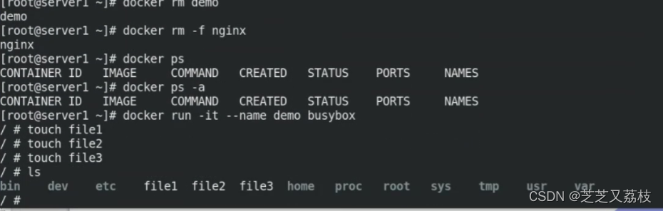 Docker镜像的分层结构、Dockerfile的编写及镜像封装优化_dockerfile分层打包-CSDN博客