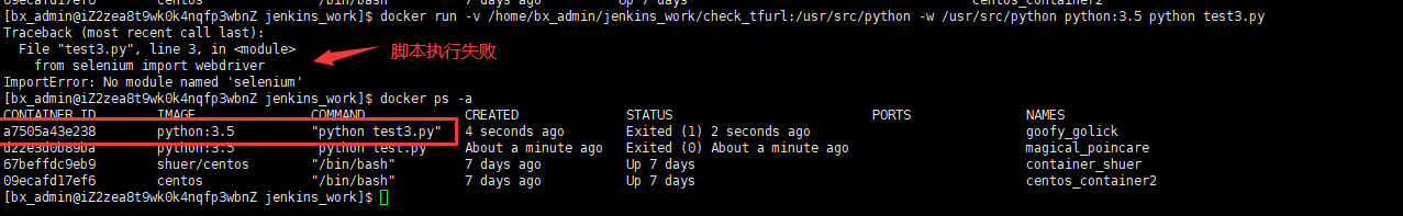 用docker容器执行py文件_容器内部执行 "python py文件-CSDN博客