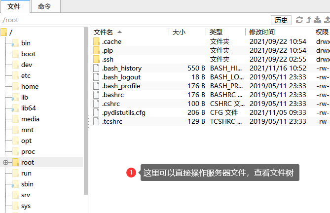 【FinalShell】win 10 / win 11：FinalShell 远程连接 Linux 服务器_final-shell-CSDN博客