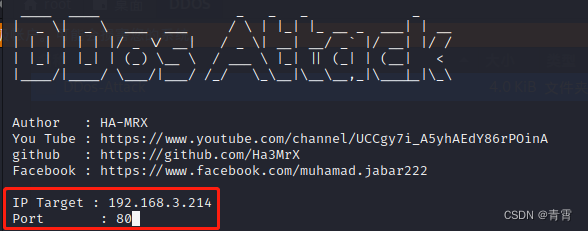 DDOS攻击_hping3: you must specify only one target host at a-CSDN博客