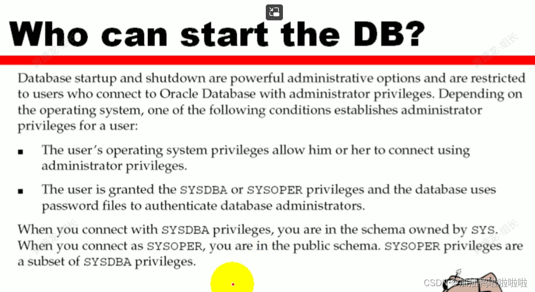 Oracle小布老师笔记 Oracle文件格式 Csdn博客