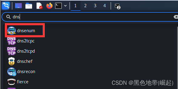 【kali-信息收集】枚举——DNS枚举：DNSenum、fierce_dns枚举工具fierce-CSDN博客