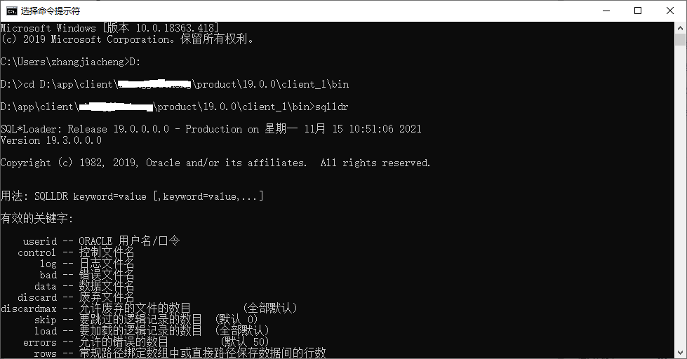 oracle sqlldr入门使用_sqlldr在哪里执行-CSDN博客