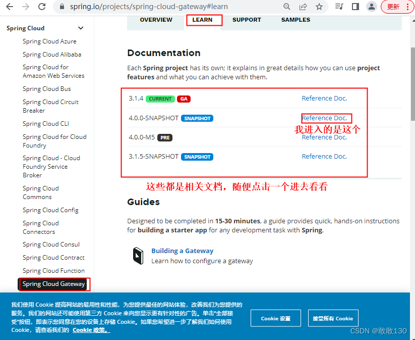 服务网关之Spring Cloud Gateway_spring-cloud-gateway-server-CSDN博客