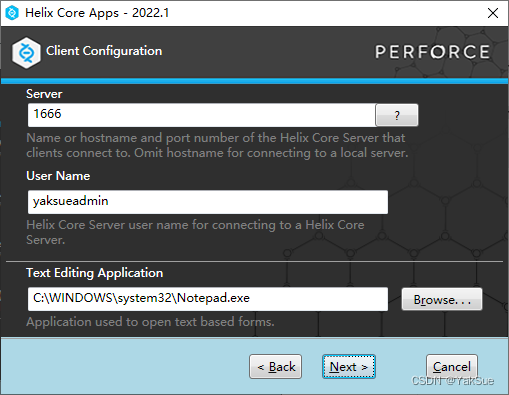 学习从零创建并配置一个P4服务器_helix core visua-CSDN博客