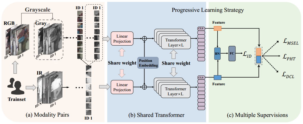 Learning Progressive Modality-shared Transformers for Effective Visible ...