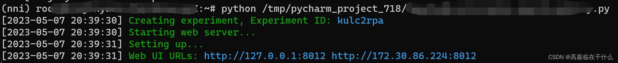 在服务器中运行nni＋sumo仿真_在远程服务器使用nni-CSDN博客