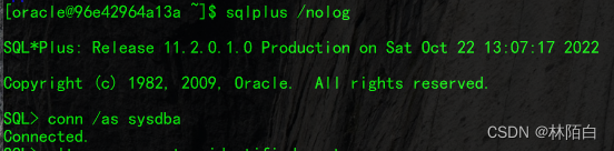 Win10 Docker 安装 Oracle11g 并使用plsql链接docker安装plsql Csdn博客