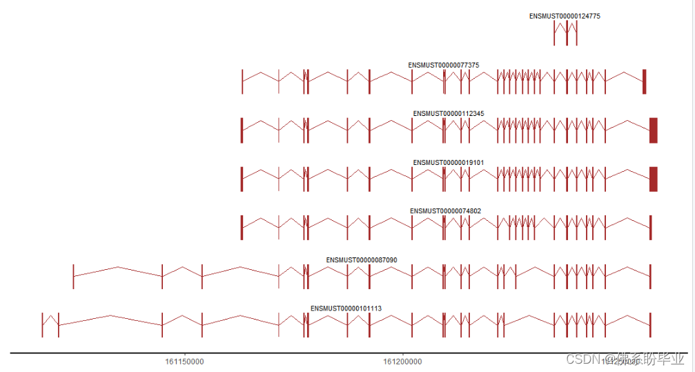 使用R包ggbio画单个基因的 autoplot转录本信息图-CSDN博客