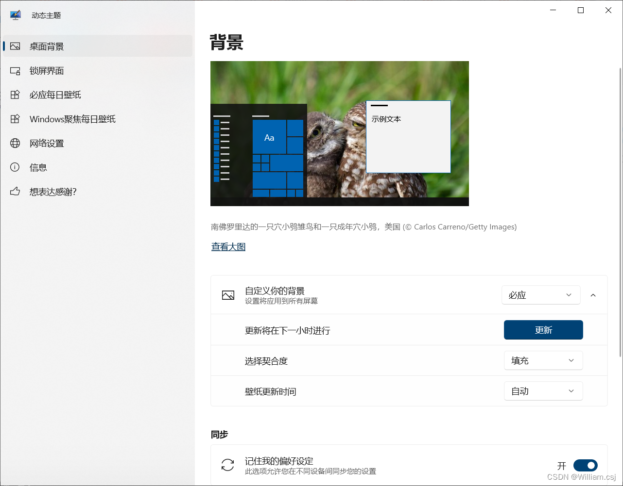 Windows——插件:动态主题(轻量级 每日自动换壁纸)pc主题插件 Csdn博客