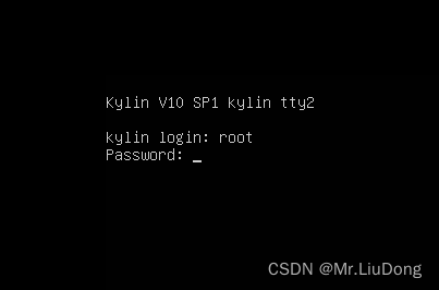 银河麒麟kylinV10登录界面输入密码后卡死_麒麟系统终端无法输入密码-CSDN博客