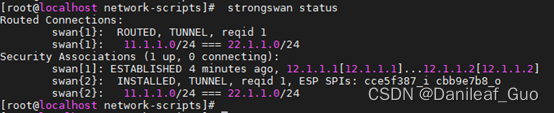 Linux配置strongSwan-CSDN博客