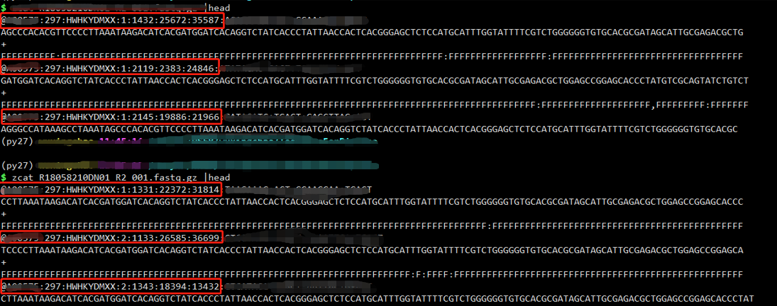 bwa mem 报错处理：[mem_sam_pe] paired reads have different names-CSDN博客