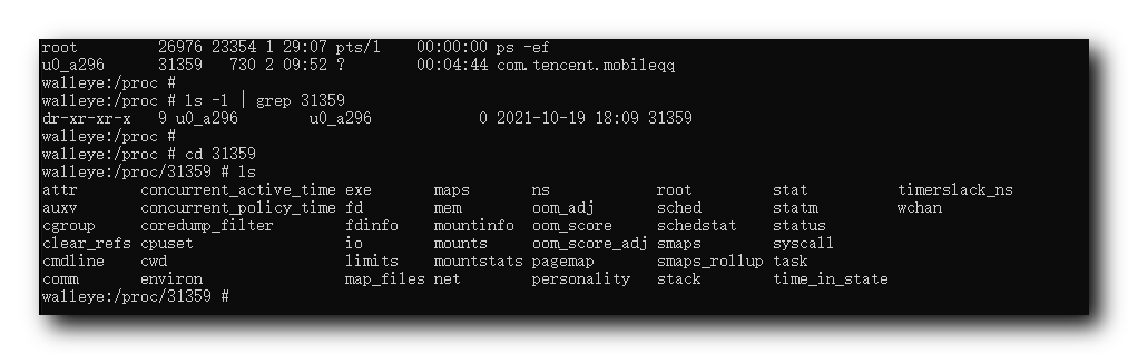 【Android 逆向】Android 系统文件分析 ( /proc/pid 进程号对应进程目录 | oom_adj | maps | smaps | mem | task | environ ...