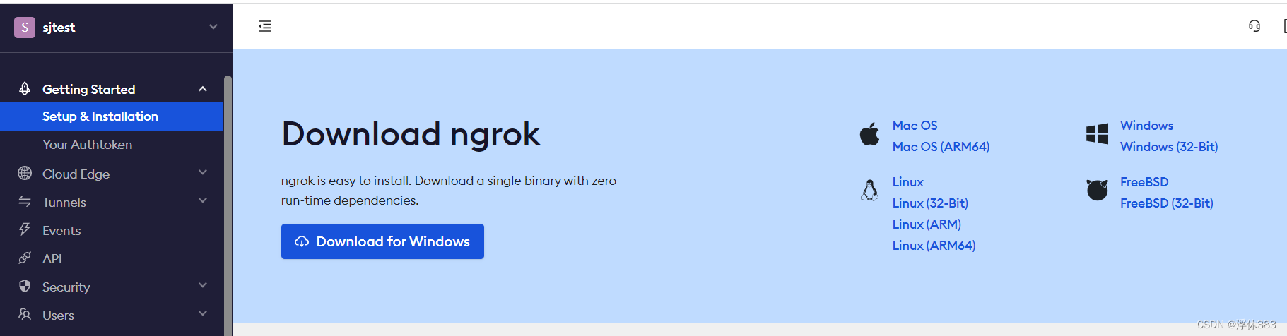 使用ngrok给本机做外网代理_ngrok代理端口-CSDN博客