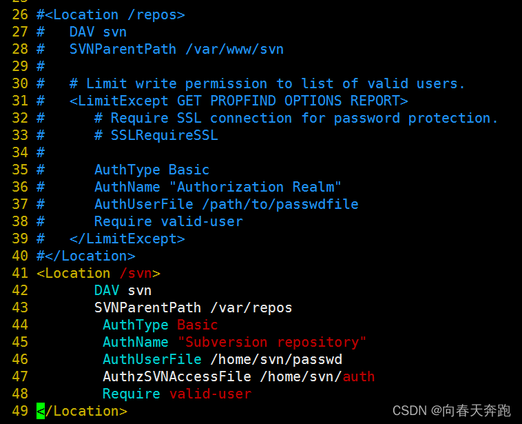 Linux服务器搭建SVN服务_linux安装svn服务器搭建-CSDN博客