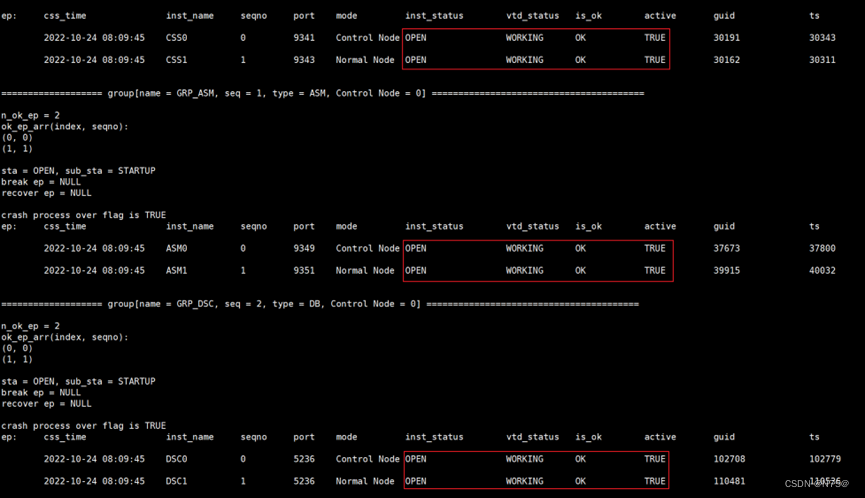 DM8共享存储集群（DMDSC）搭建_dm数据库共享存储集群-CSDN博客